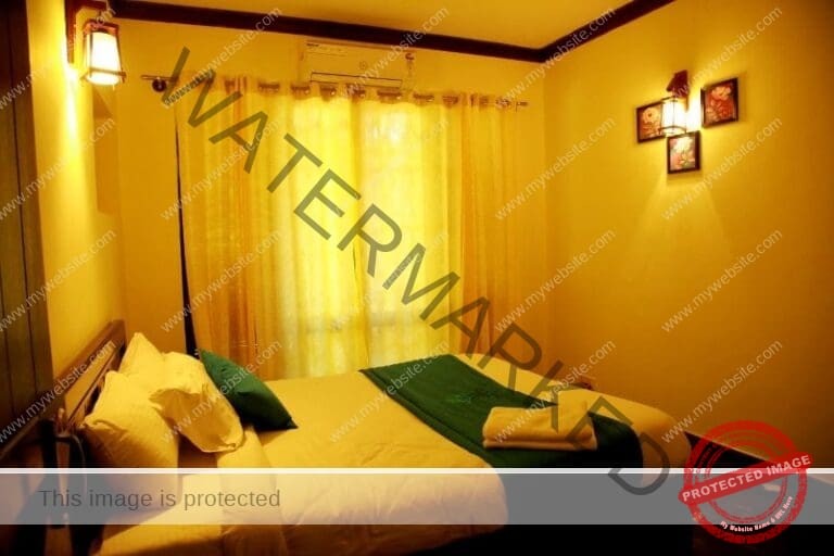 NLE BIRD – Next Level Education